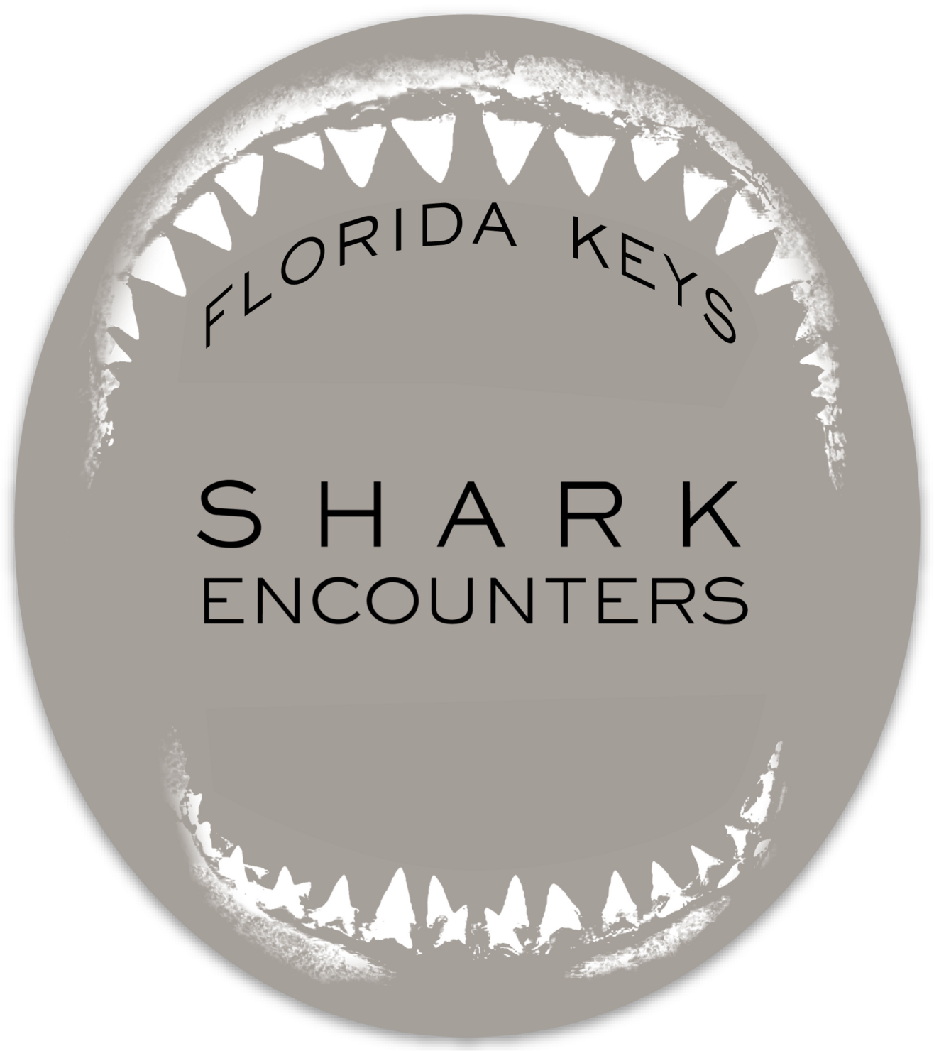 Sticker - Shark encounters | Descend Ocean Apparel Sticker - Shark encounters | Descend Ocean Apparel